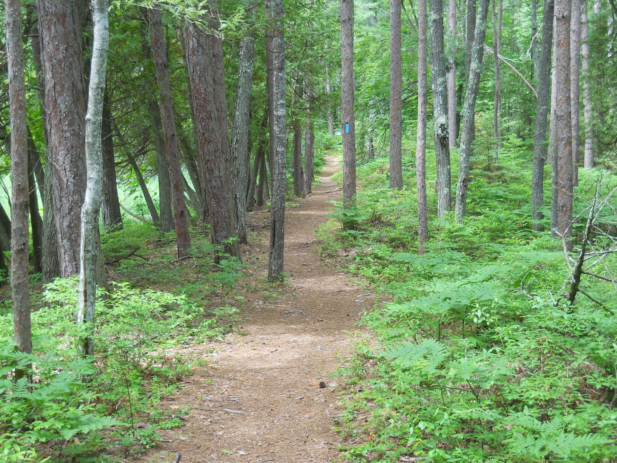 How to plan and prepare for a long distance thru-hike