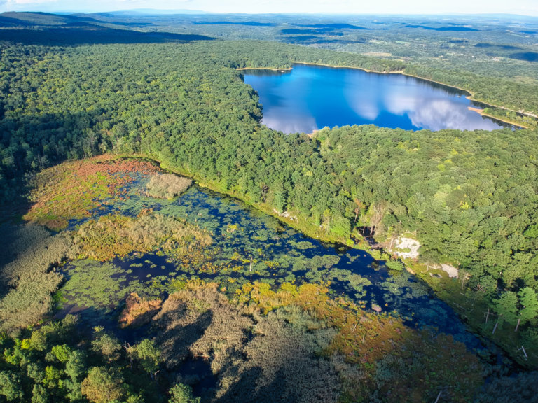 Trail Guide: Ozette Triangle loop in Olympic National Park