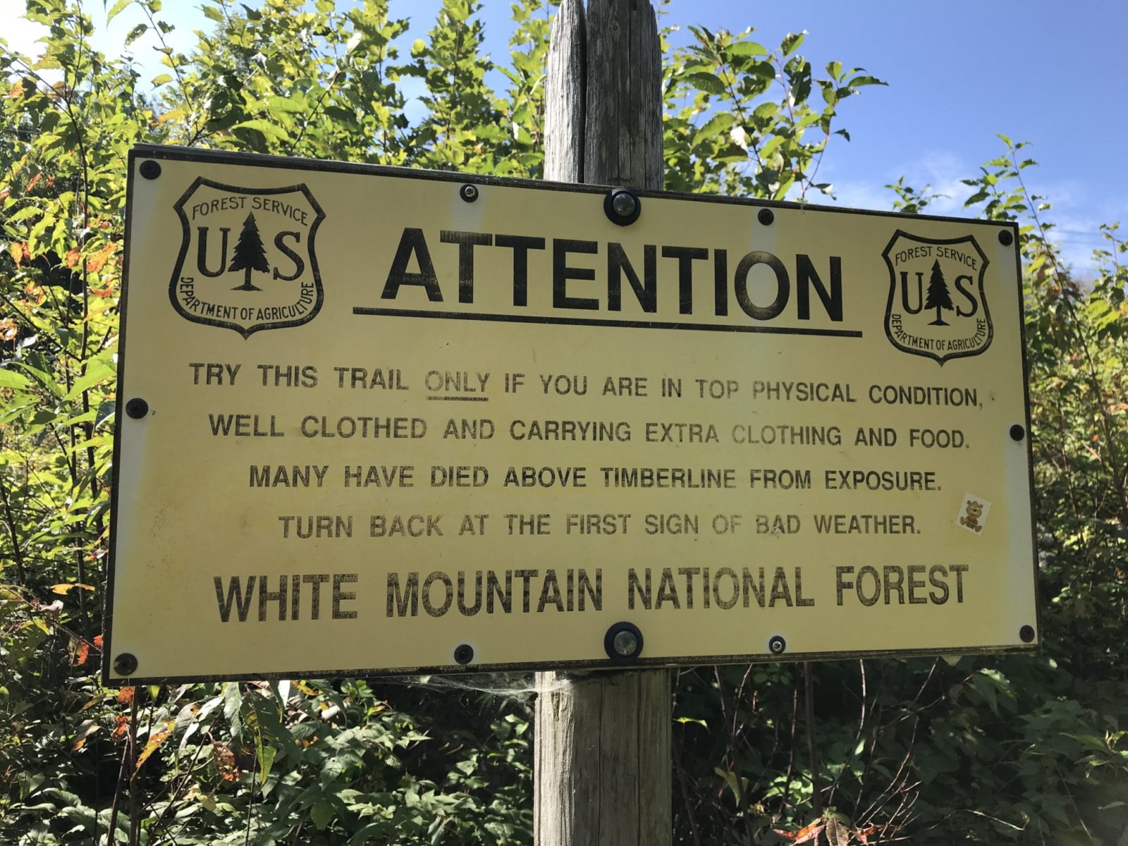 A Complete Guide to Hiking the Presidential Traverse Trail