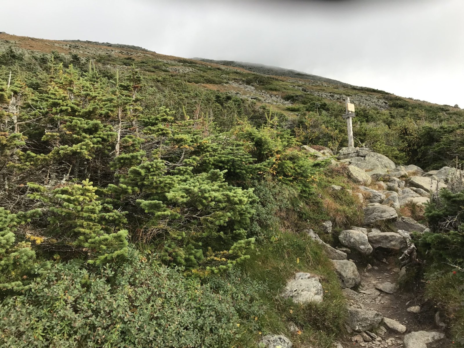 A Complete Guide to Hiking the Presidential Traverse Trail