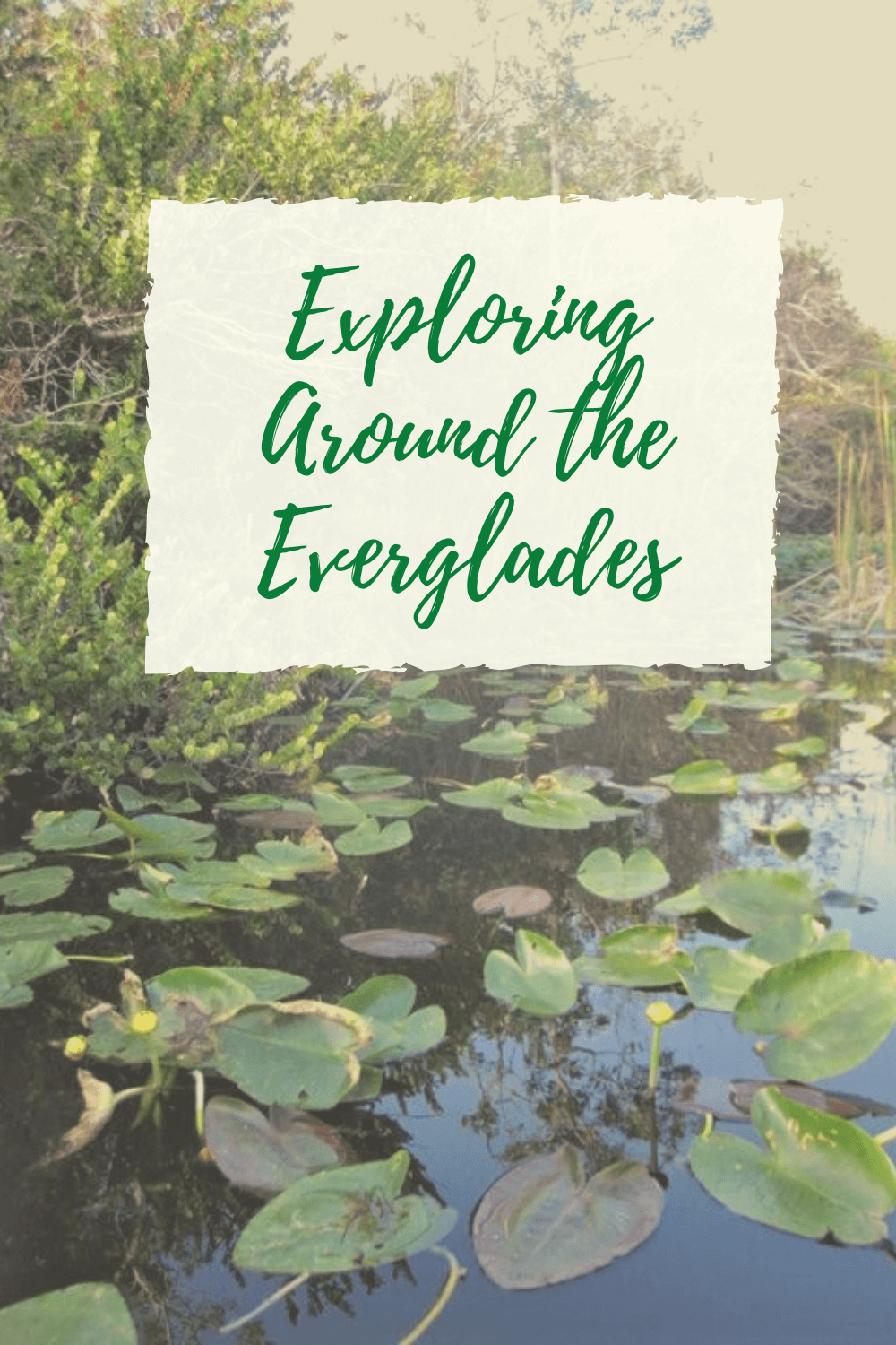 Best Guide to Visiting Everglades National Park