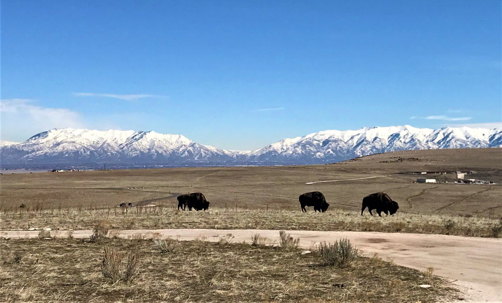 Best Guide to visiting Antelope Island State Park