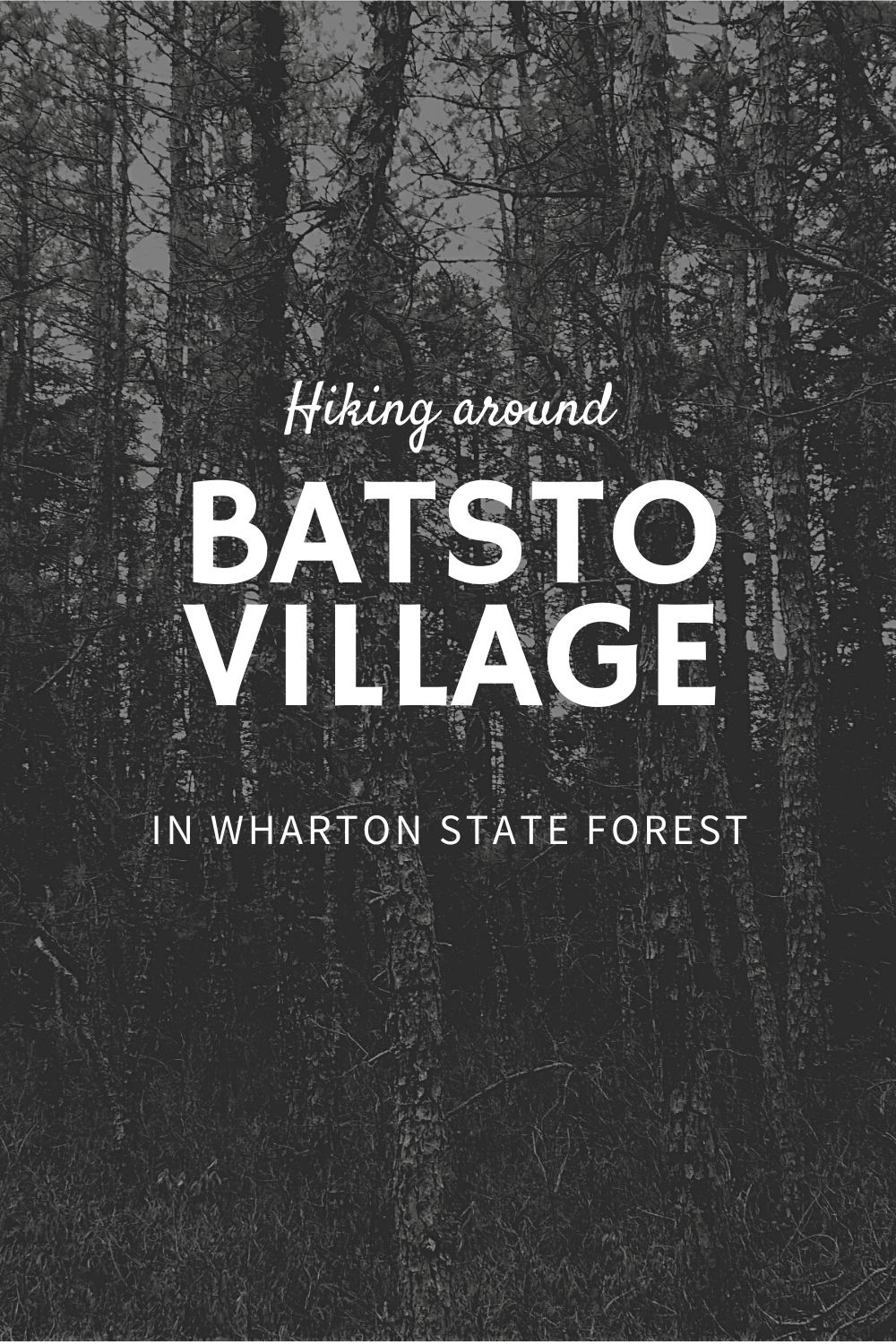 Trail Guide: Hiking Around Batsto Village, NJ