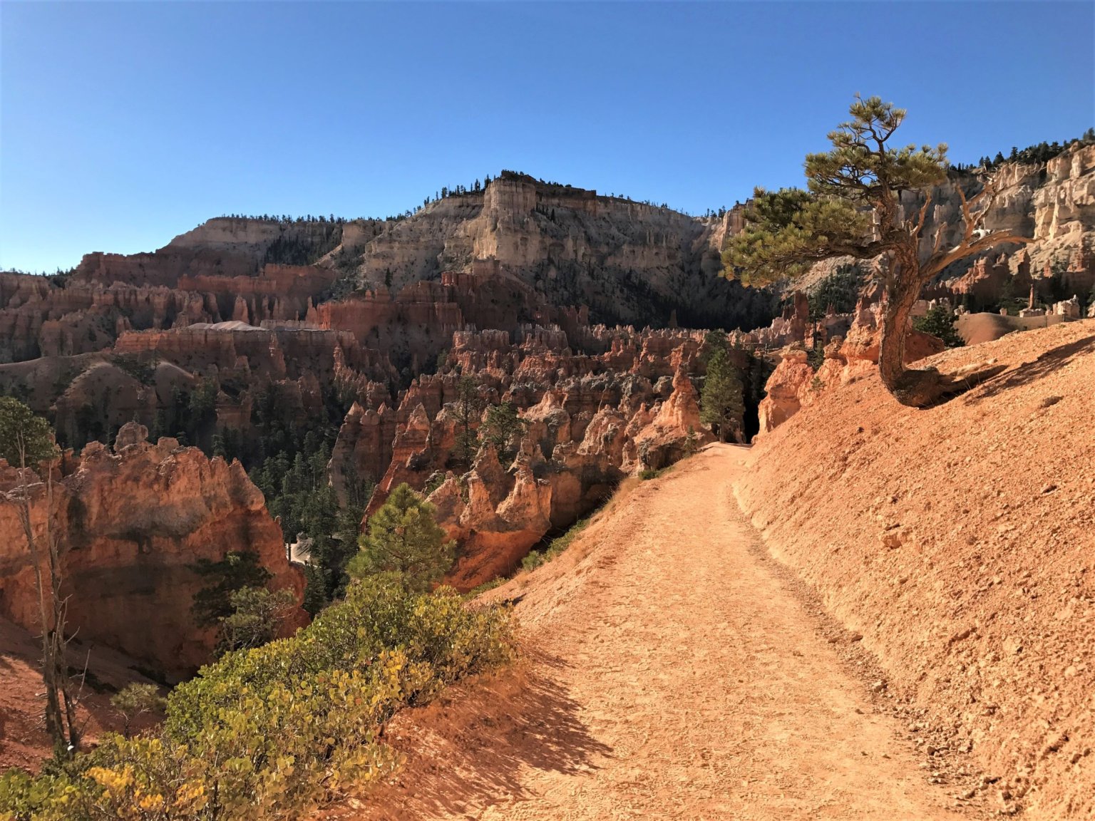 A Complete Guide to Hiking the Presidential Traverse Trail