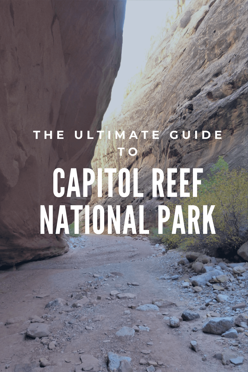 The Ultimate Guide to Capitol Reef National Park - Wandering with a ...