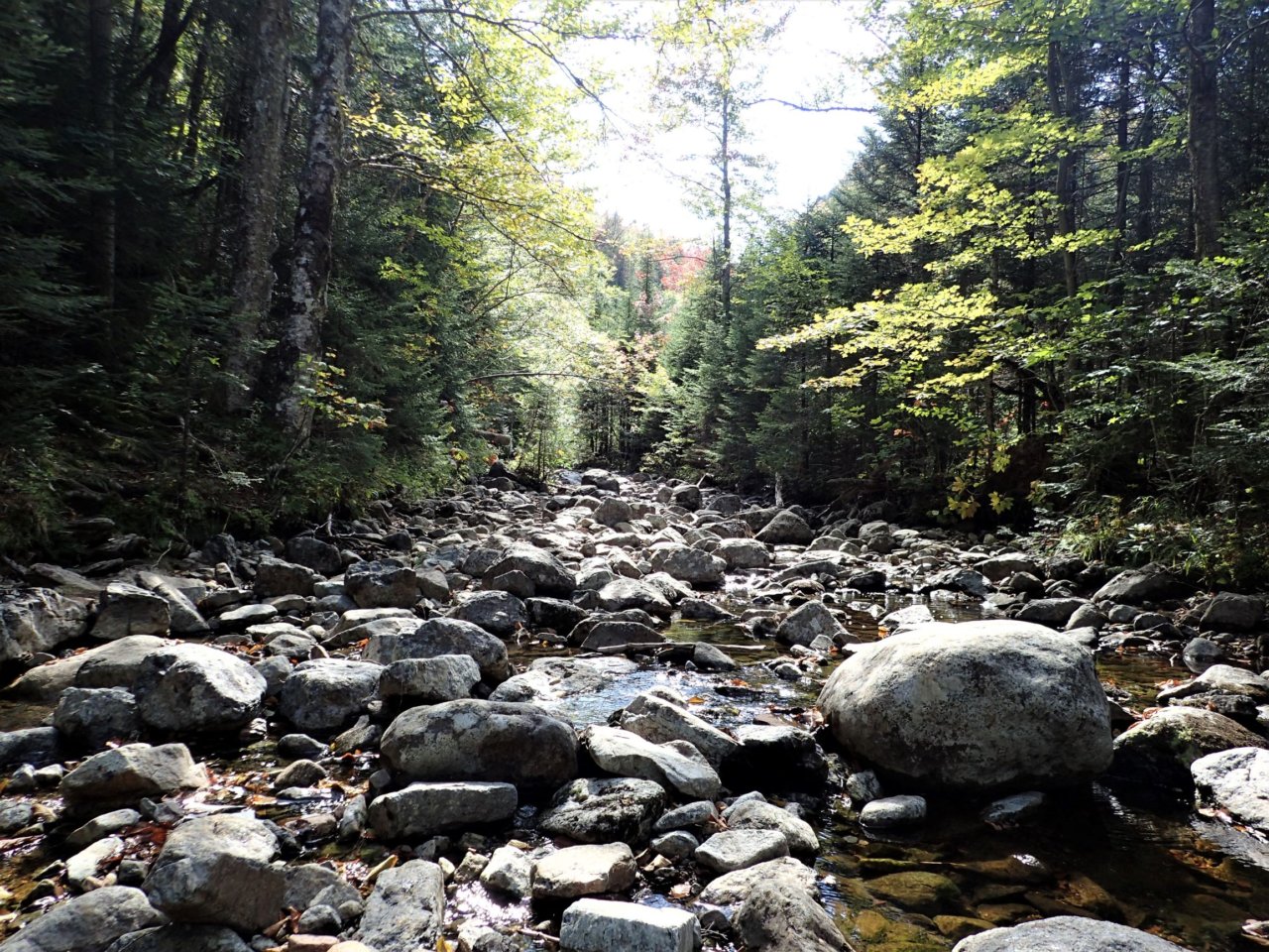 Trail Guide: Hiking the Adirondacks Indian Pass Trail