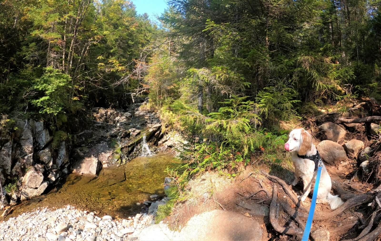 Guide to hiking in the Adirondacks High Peaks Region