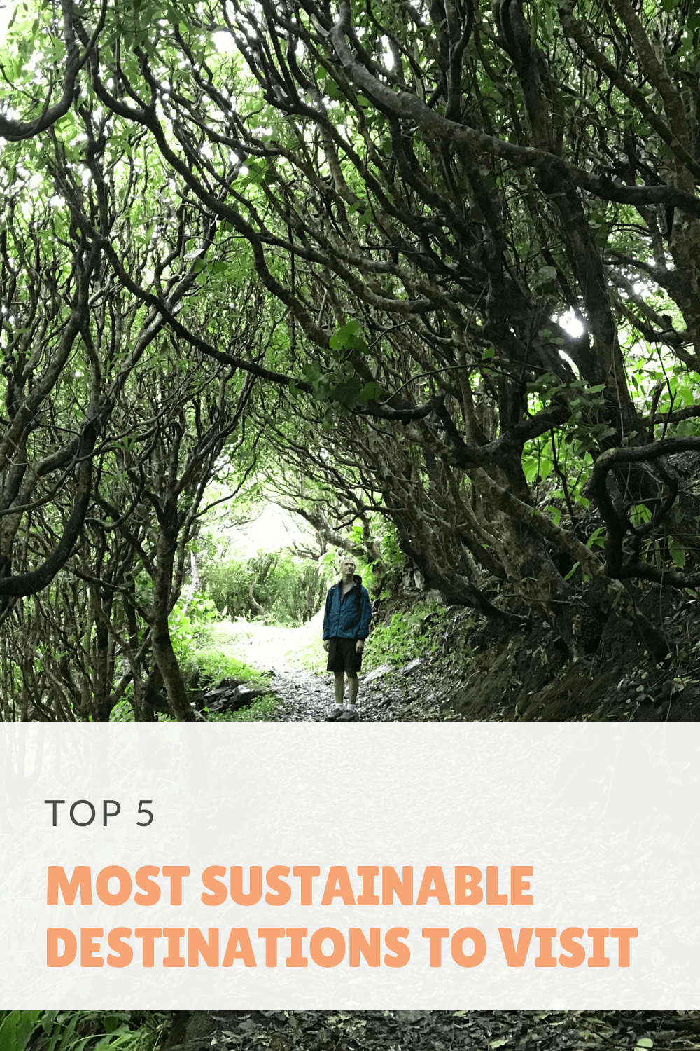 Top 5 sustainable travel destinations to visit