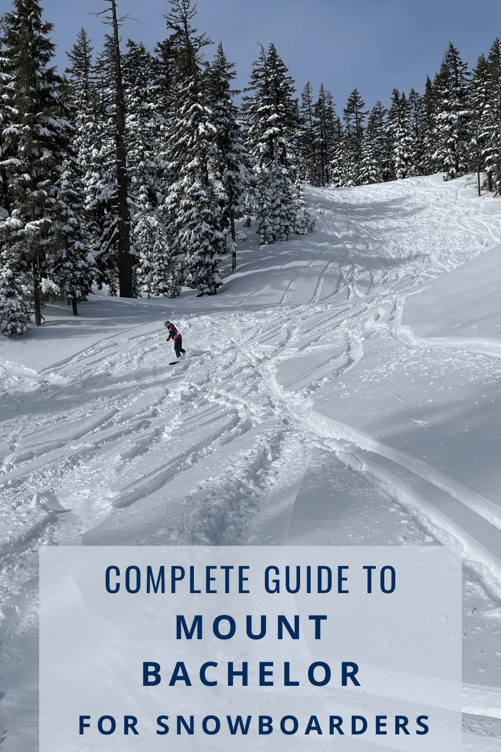 Complete Guide to Mount Bachelor ski resort: Snowboarding