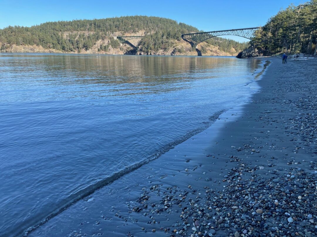 Trail Guide: Ozette Triangle loop in Olympic National Park