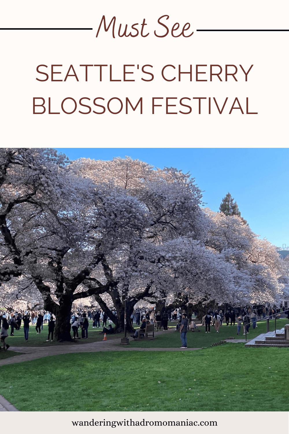 Visitors Guide to Seattle’s Cherry Blossom Festival - Wandering with a ...