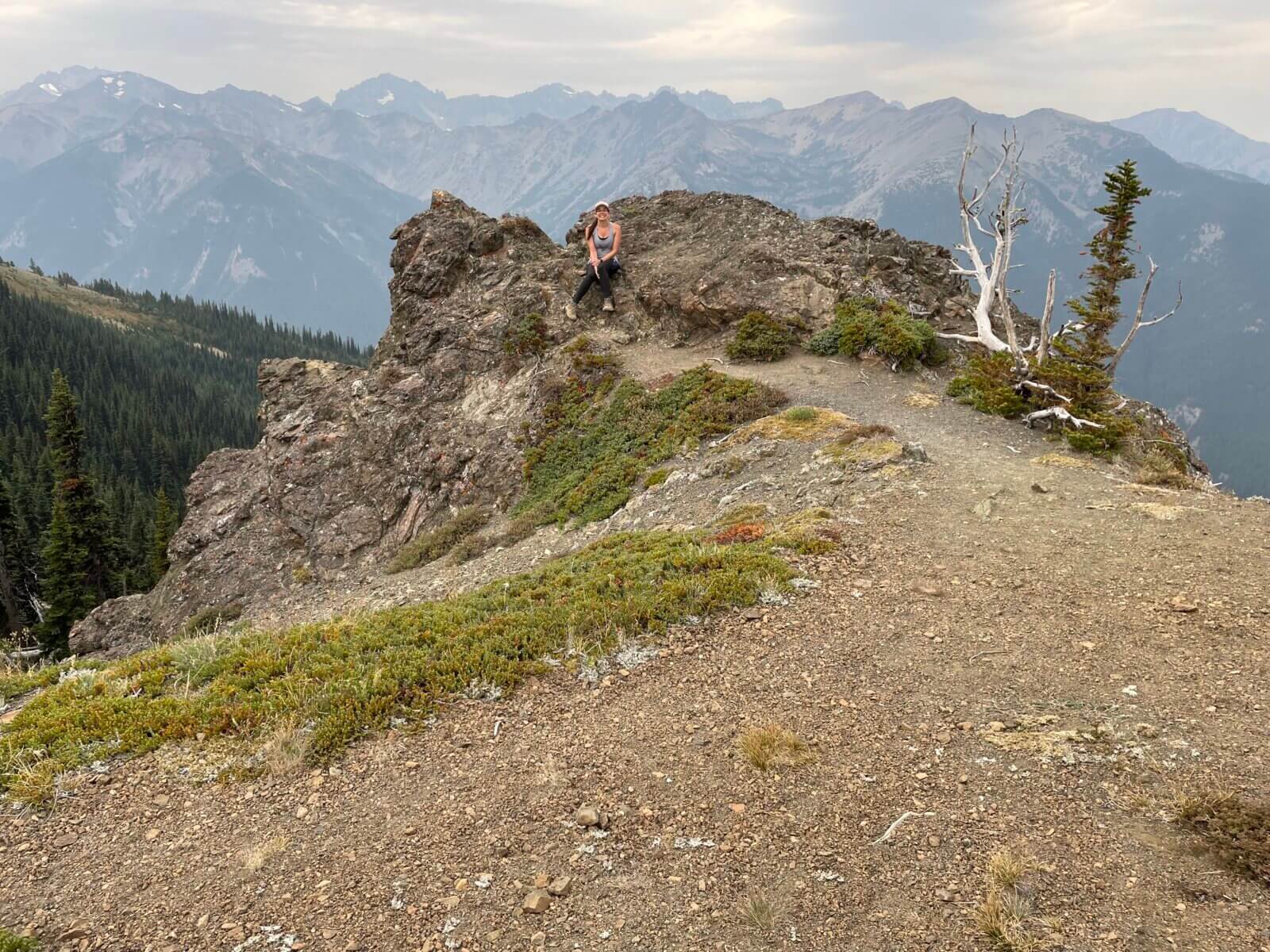 Trail Guide: Marmot Pass Olympic National Forest