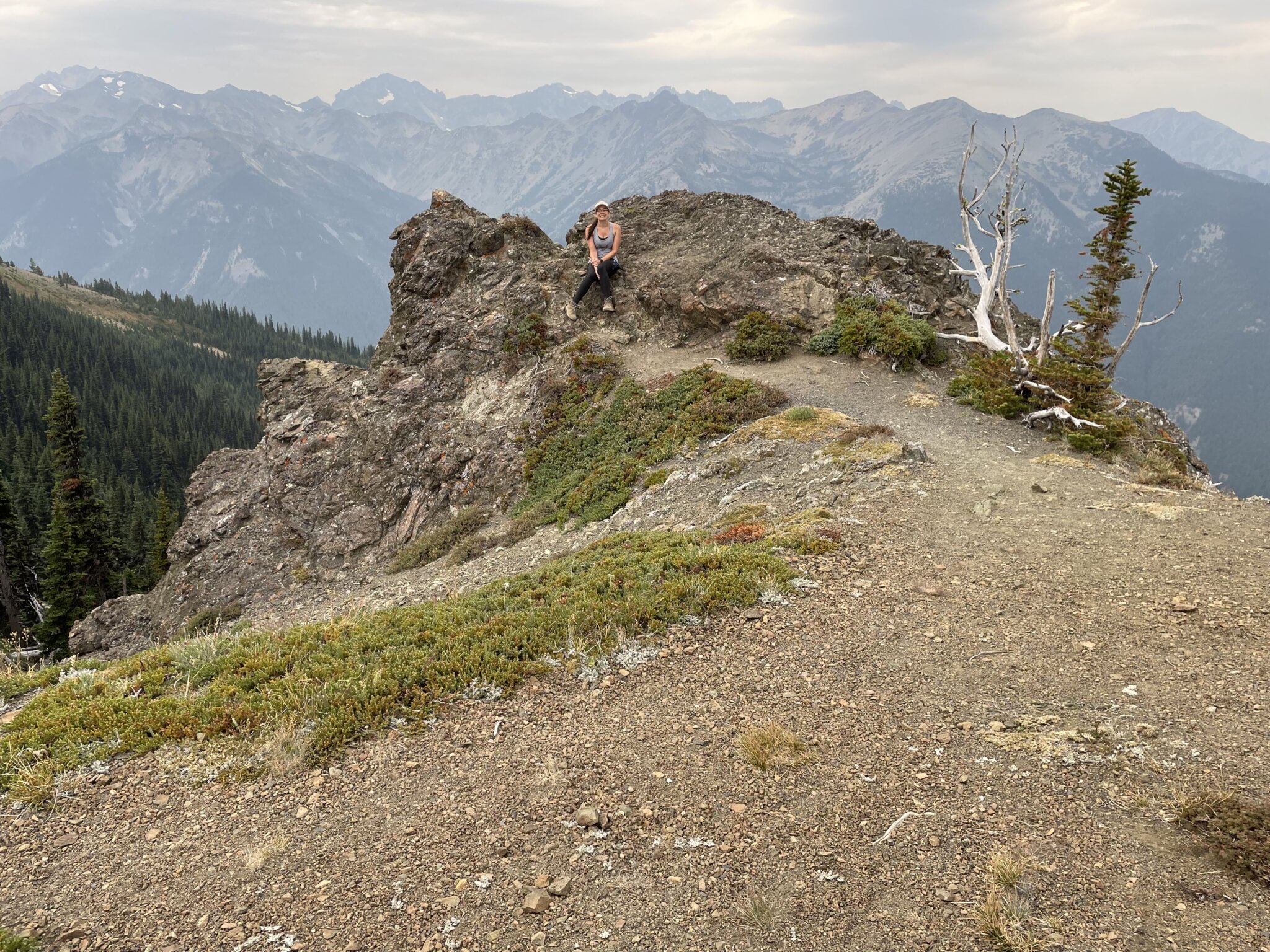 Trail Guide: Marmot Pass Olympic National Forest