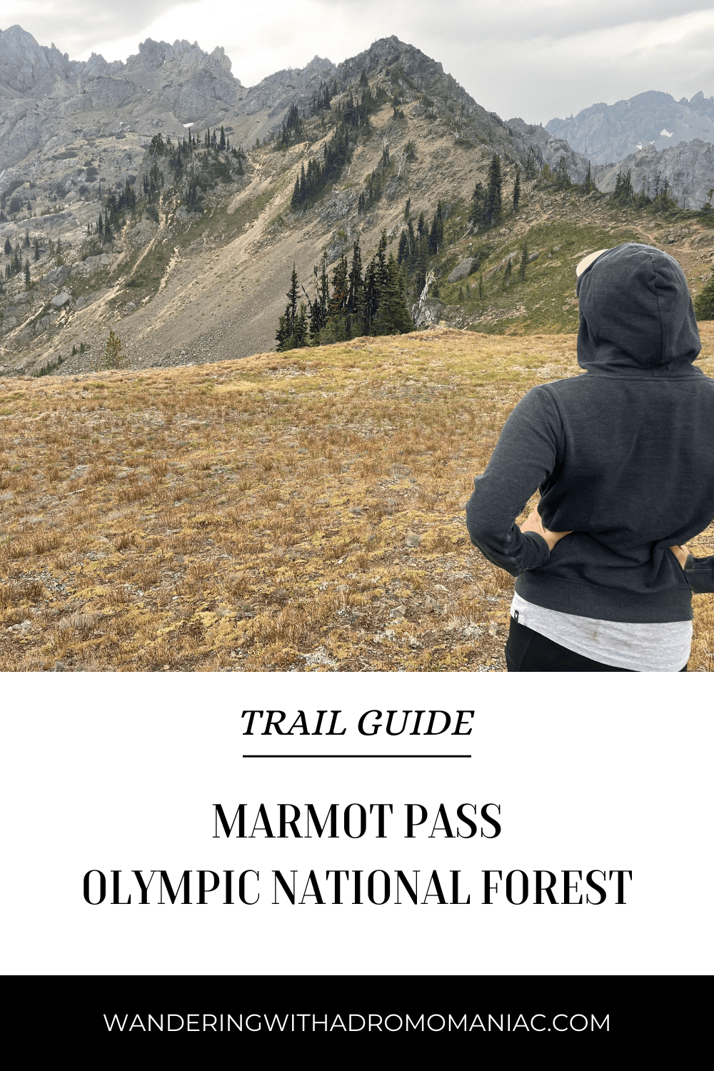 Trail Guide: Marmot Pass in the Olympic National Forest