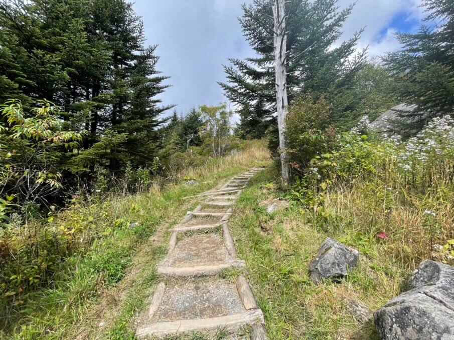 Hiking Andrews Bald Trail, Great Smoky Mountains NP