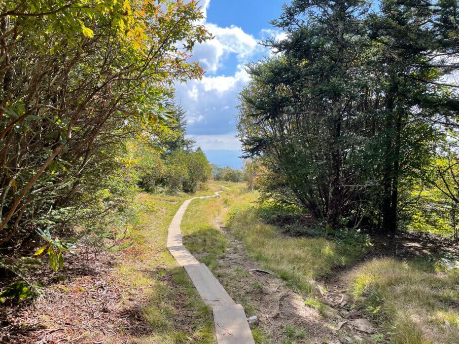 Hiking Andrews Bald Trail, Great Smoky Mountains NP