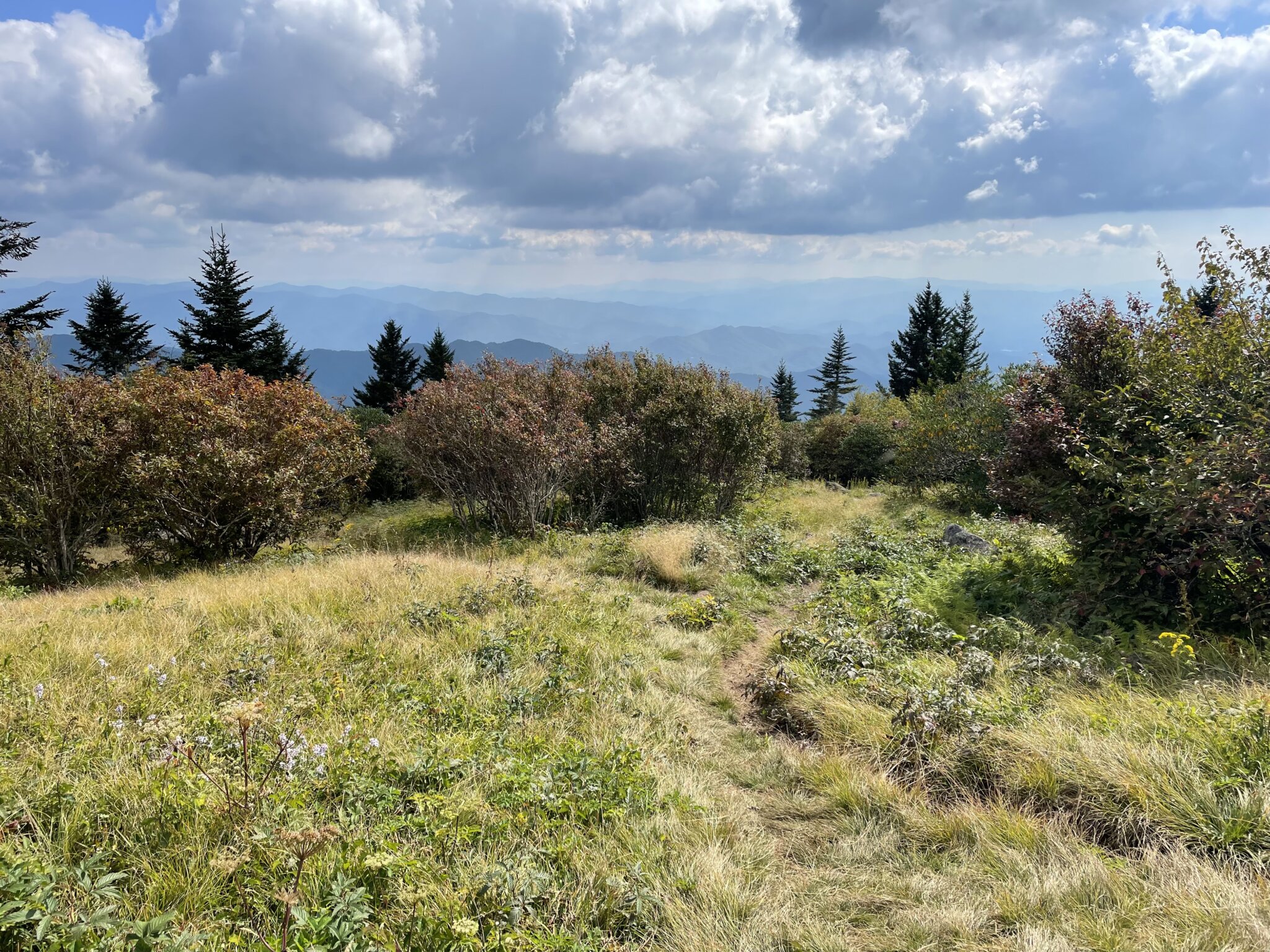 Hiking Andrews Bald Trail, Great Smoky Mountains NP