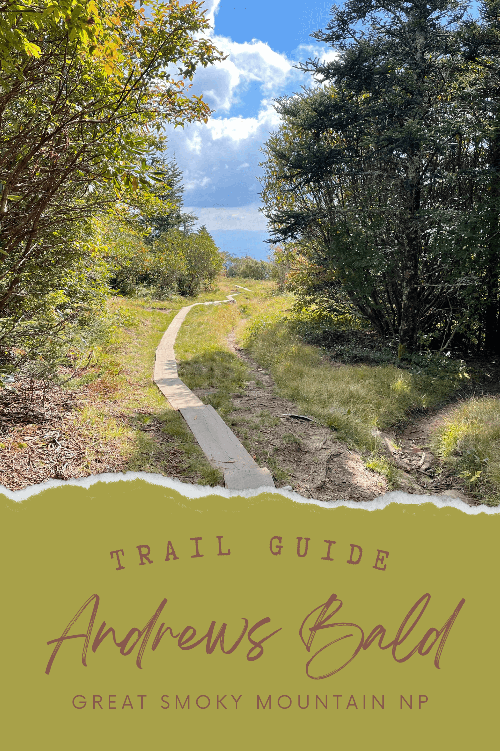 Hiking Andrews Bald Trail, Great Smoky Mountains NP