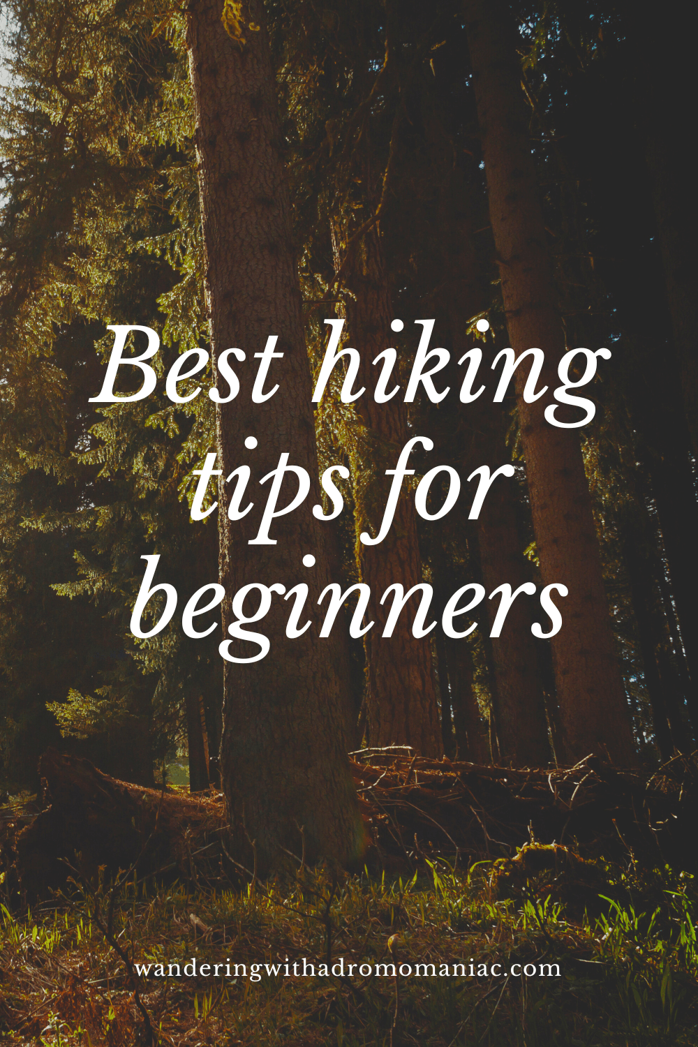 Best backpacking tips for a beginners first trip