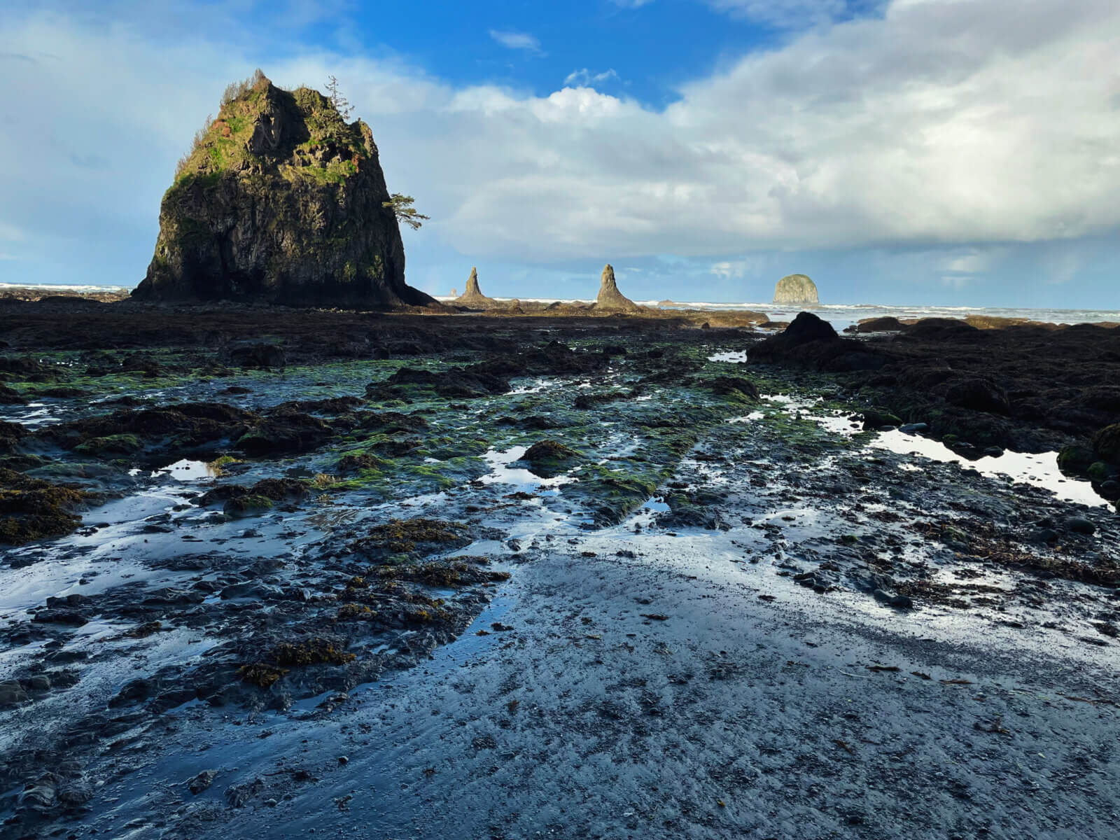 Trail Guide: Ozette Triangle loop in Olympic National Park
