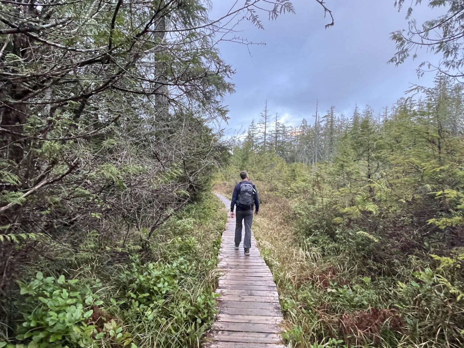 Trail Guide: Ozette Triangle loop in Olympic National Park