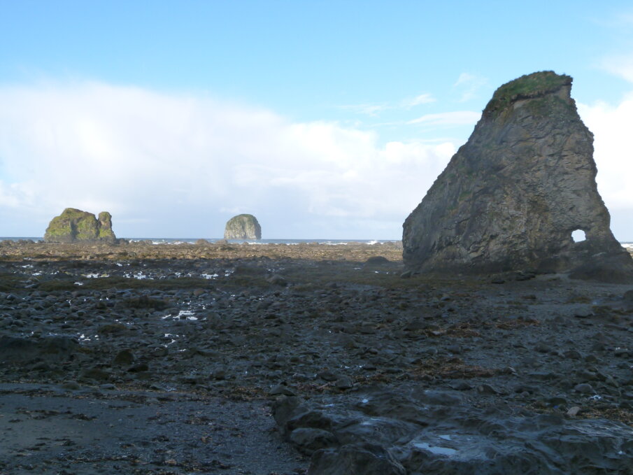 Trail Guide: Ozette Triangle loop in Olympic National Park