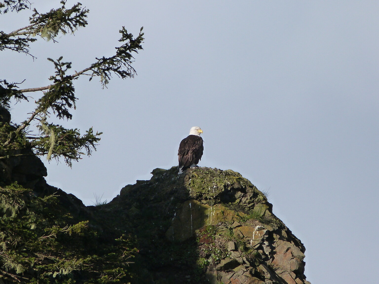 Trail Guide: Ozette Triangle loop in Olympic National Park