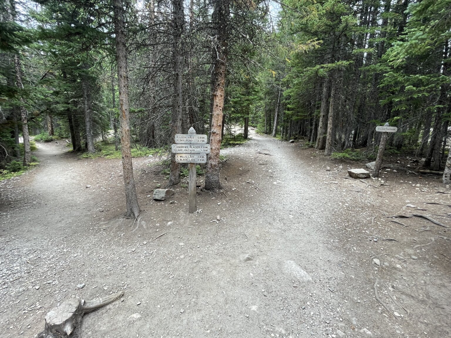 Visiting Bear Lake Road in Rocky Mountain National Park