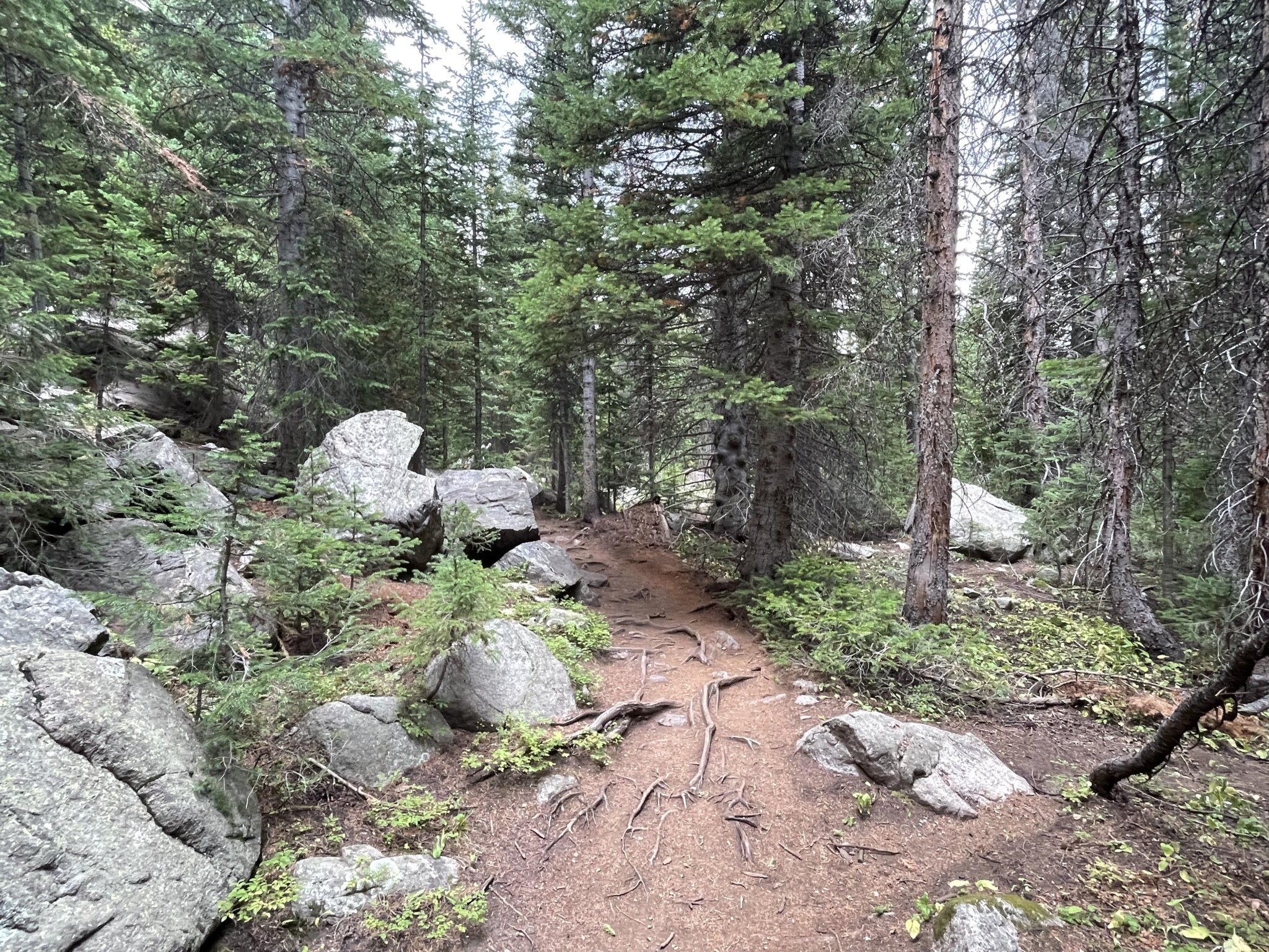 Visiting Bear Lake Road in Rocky Mountain National Park
