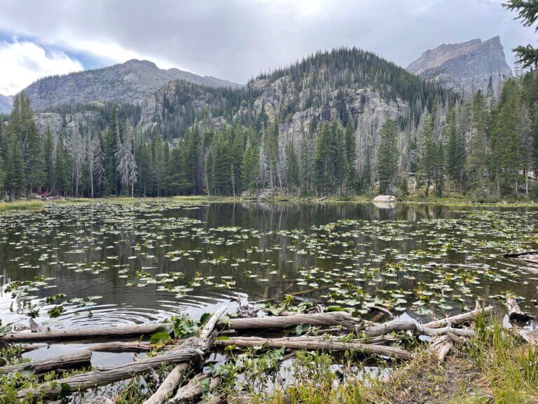 Visiting Bear Lake Road in Rocky Mountain National Park