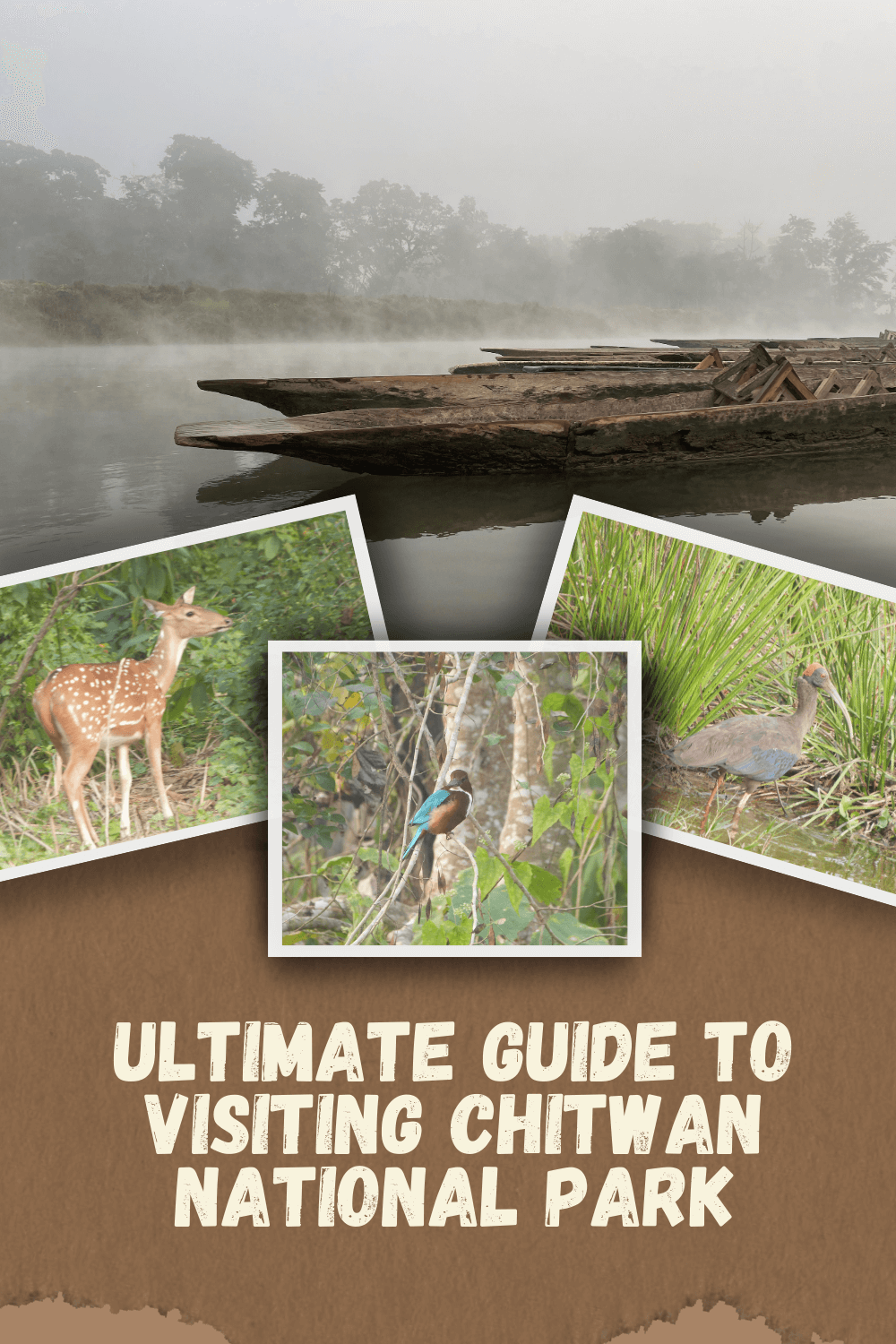Ultimate guide to visiting Chitwan National Park